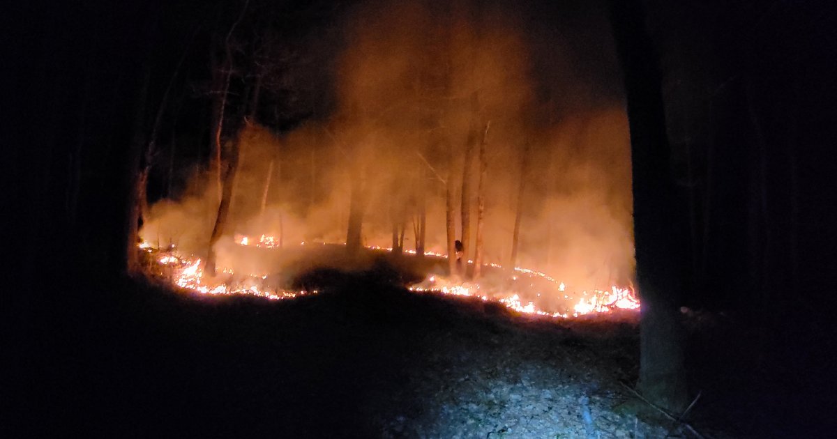 Vegetationsbrand zwischen Hämmerholz und Seelbach bei Hamm (Sieg ...